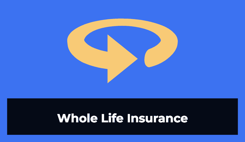 Life Insurance Types Explained [Term Life, Whole Life, Universal Life]